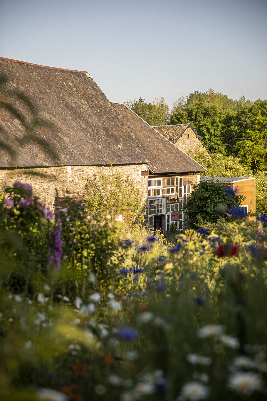 Normandy — Freya Joy Garden — Élodie Daguin