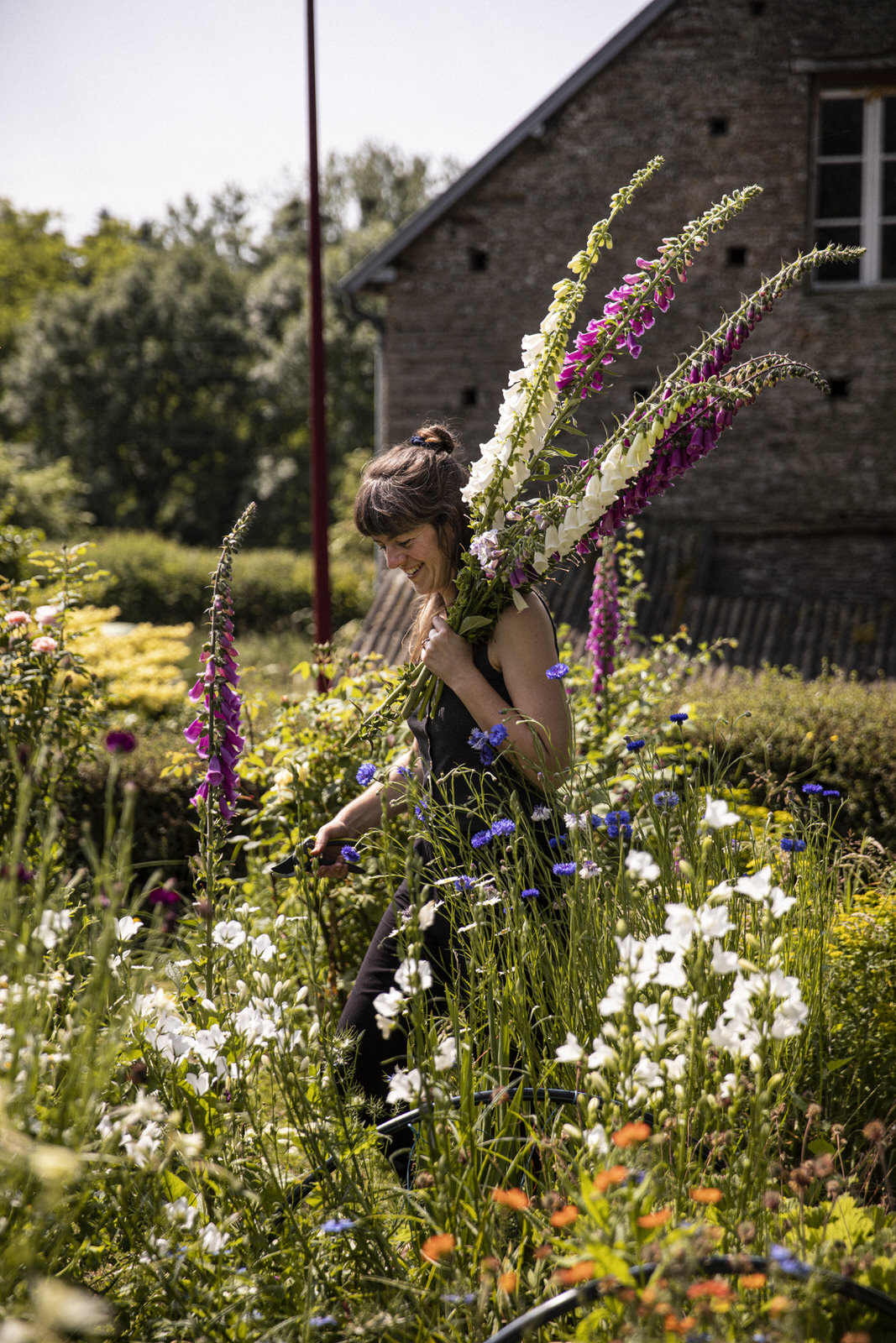 Normandy — Freya Joy Garden — Élodie Daguin