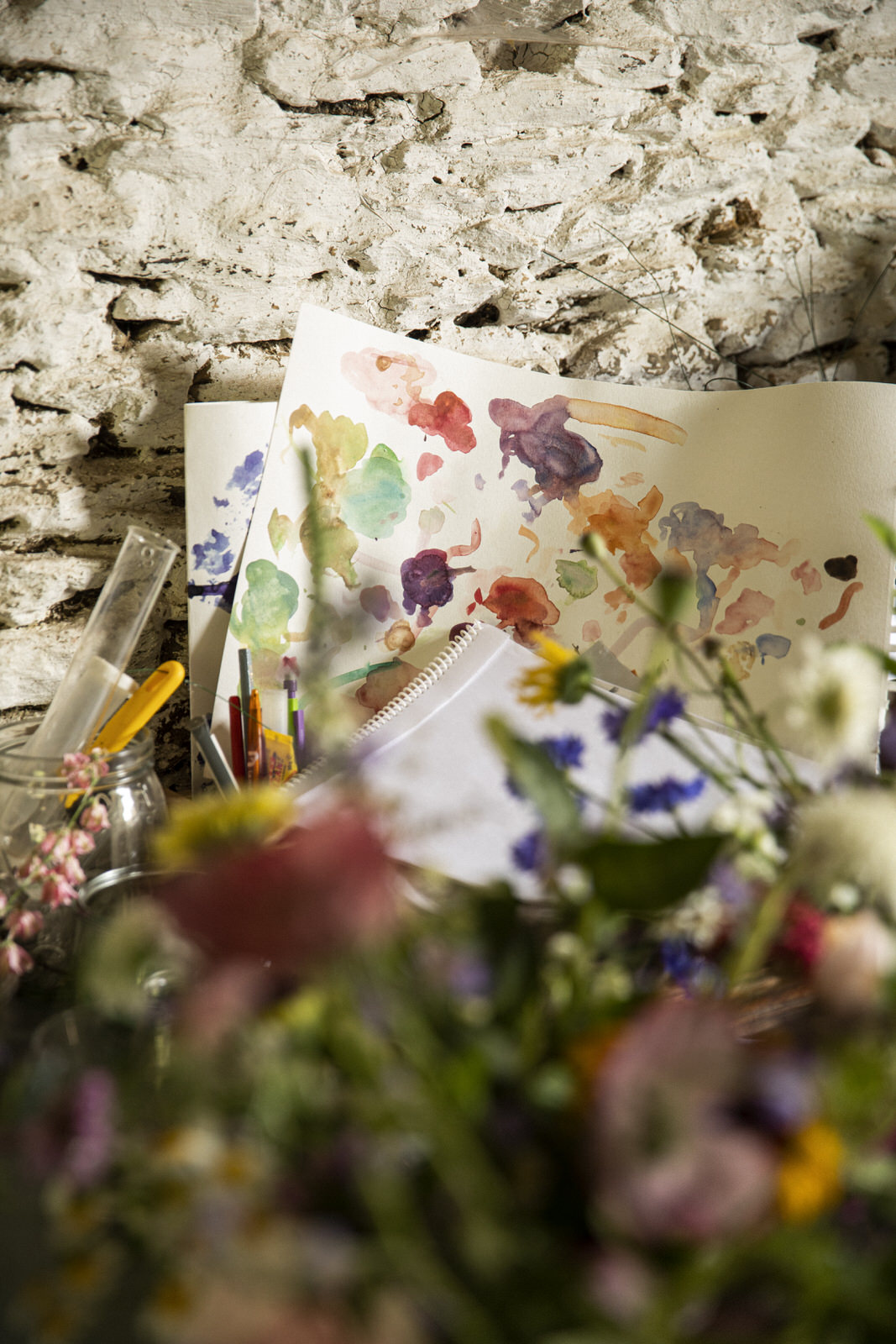 Normandy — Freya Joy Garden — Élodie Daguin